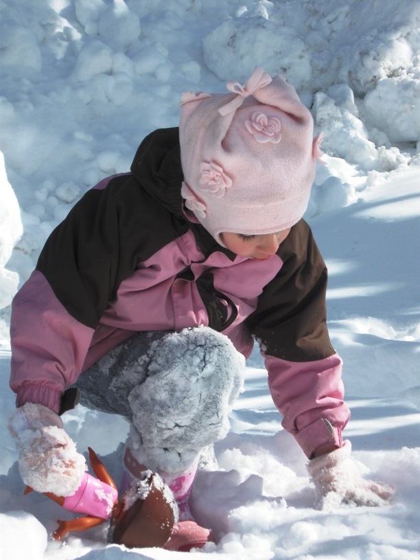 Here Comes the Sun: Dispatches from Snowmageddon Part Three Stirrup Queens