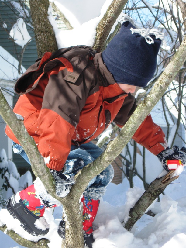 Here Comes the Sun: Dispatches from Snowmageddon Part Three Stirrup Queens